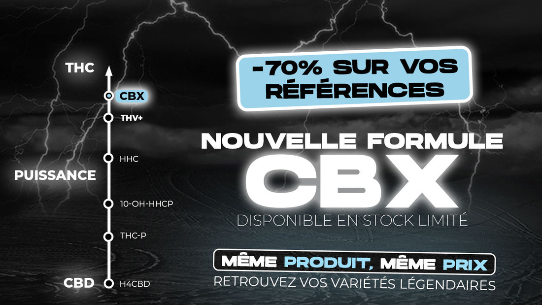 Découvrez le meilleur CBX légal puissant et pas cher